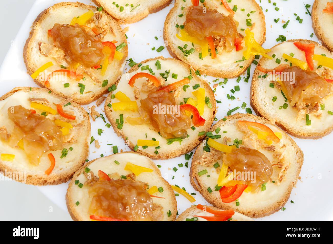 Elegant appetizer toasts topped with melted cheese, onion chutney, bell ...