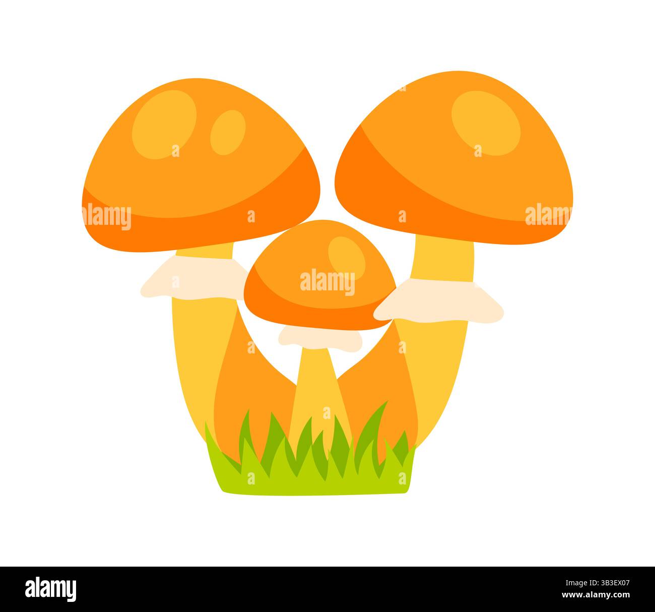 Wild mushrooms fungi growing Stock Vector Images - Alamy