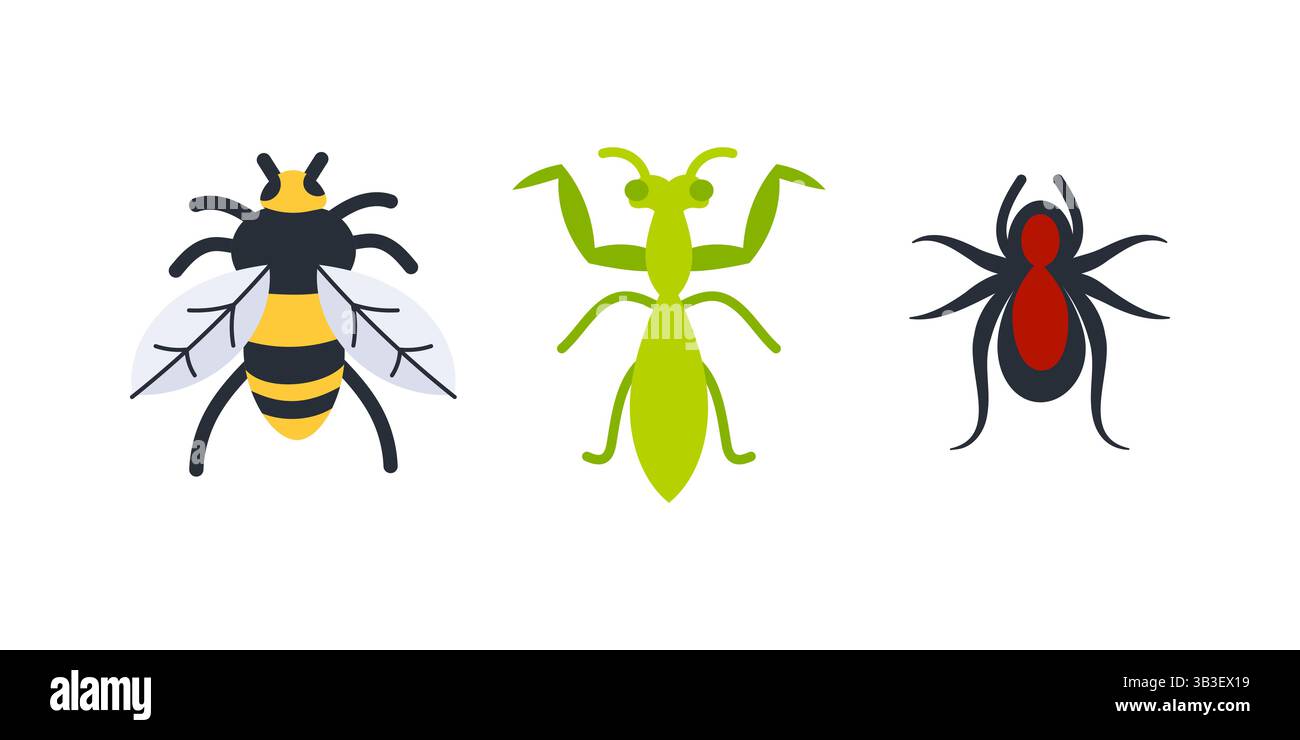 Bee, praying mantis and spider representing insects Stock Vector Image ...