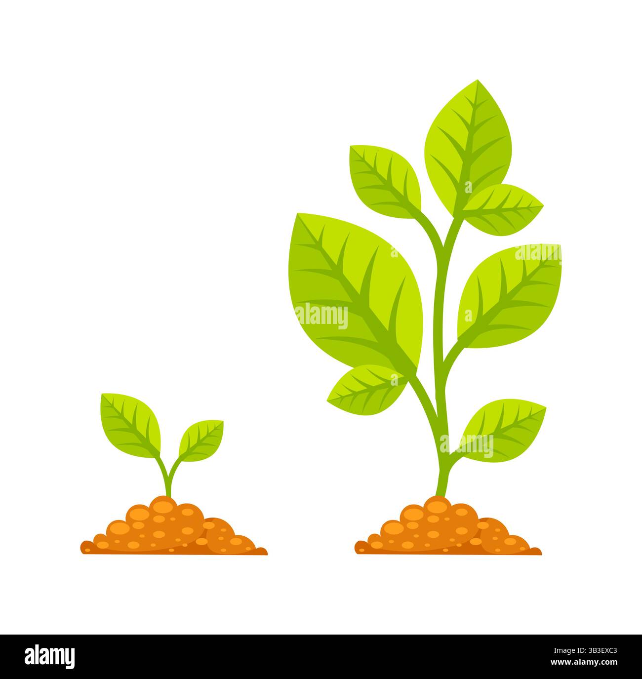 Plant growing from soil time hi-res stock photography and images - Alamy