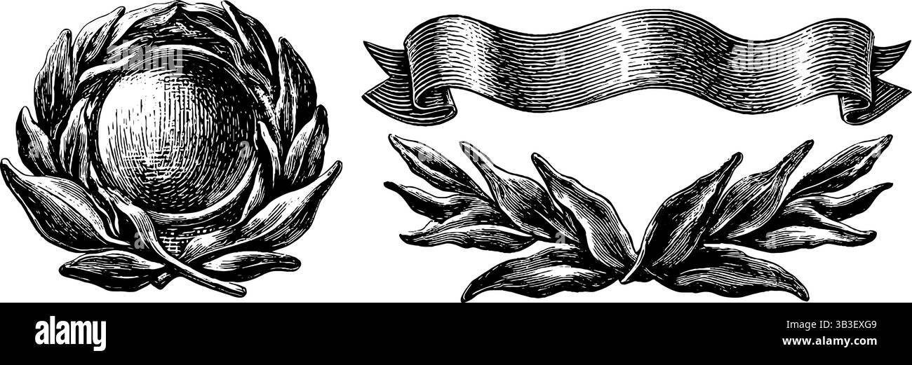 Vintage engraved laurel wreath with ribbon banner for decorative design ...