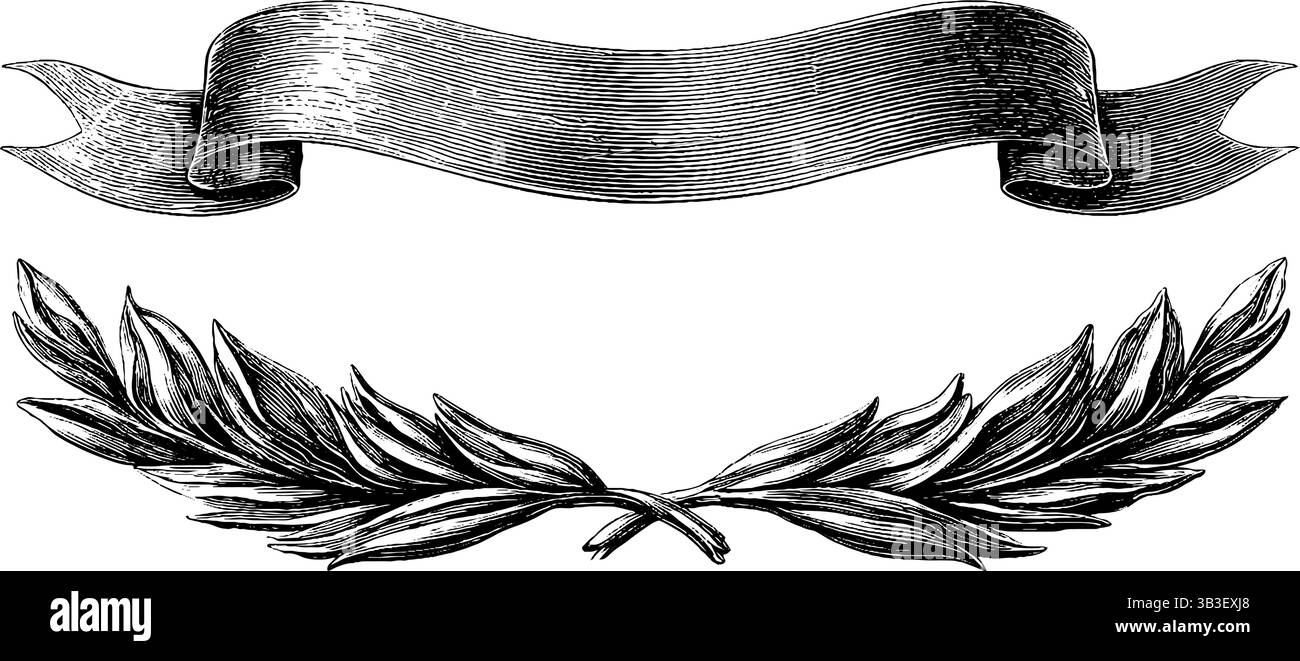 Vintage wavy banner with laurel leaves for elegant design and ...