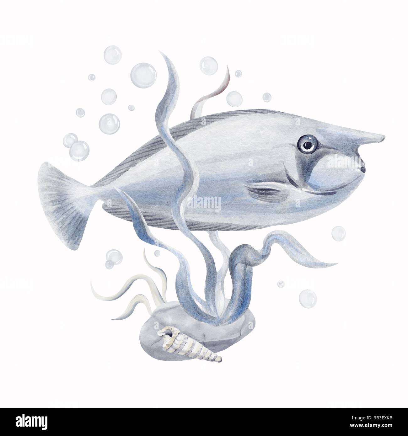 Exotic sea fish. Surgeon fish and blue-spined rhinoceros fish with a ...