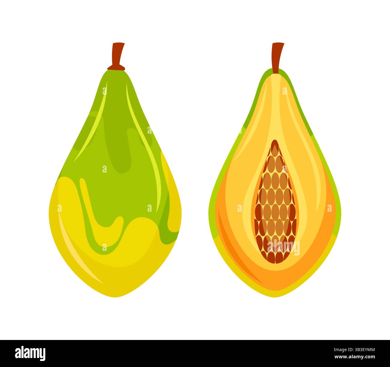 Pulp ripe exotic fruit Stock Vector Images - Alamy