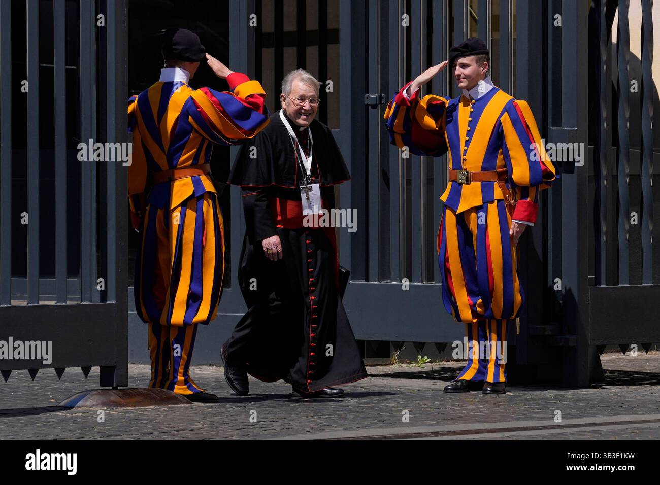 Cardinal Walter Kasper leaves at the end of a college of cardinals ...