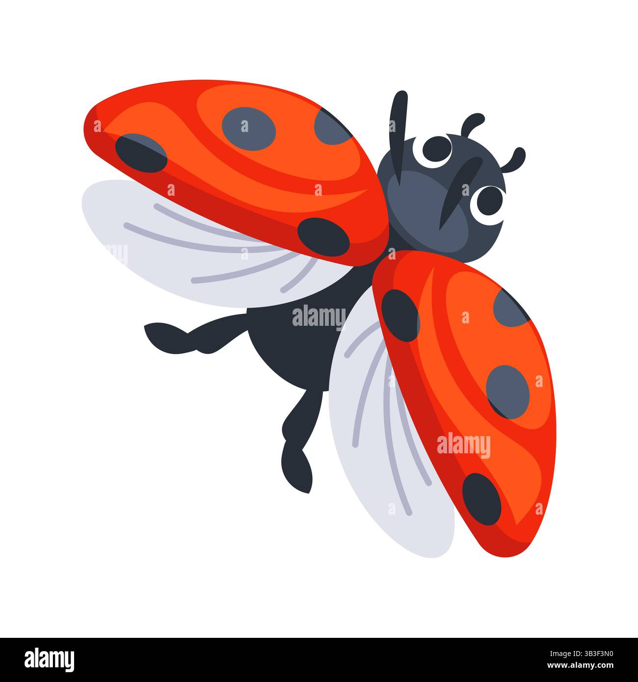 Flying ladybug seven spot Stock Vector Images - Alamy