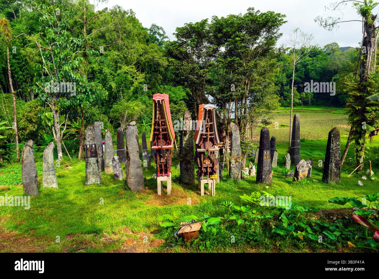Megalith Memorial Stones, Lembang Parinding, Toraja, Sulawesi (Celebes ...