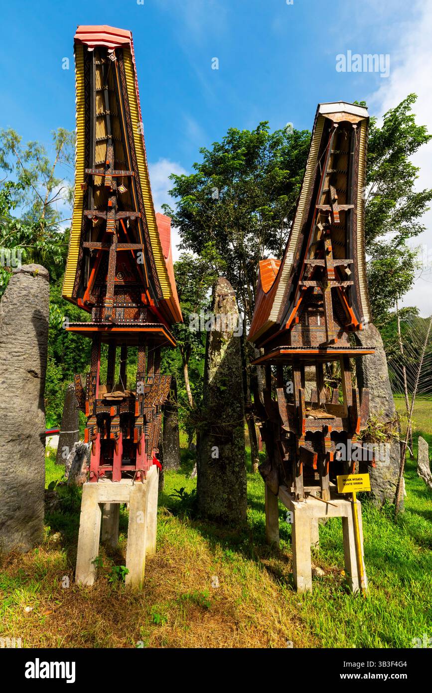 Megalith Memorial Stones, Lembang Parinding, Toraja, Sulawesi (Celebes ...