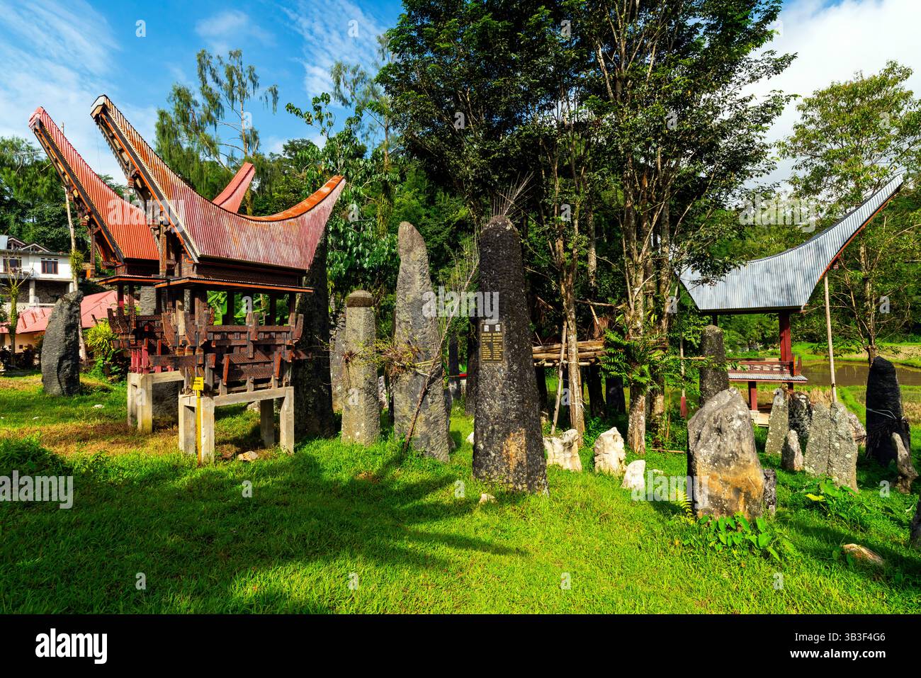 Megalith Memorial Stones, Lembang Parinding, Toraja, Sulawesi (Celebes ...