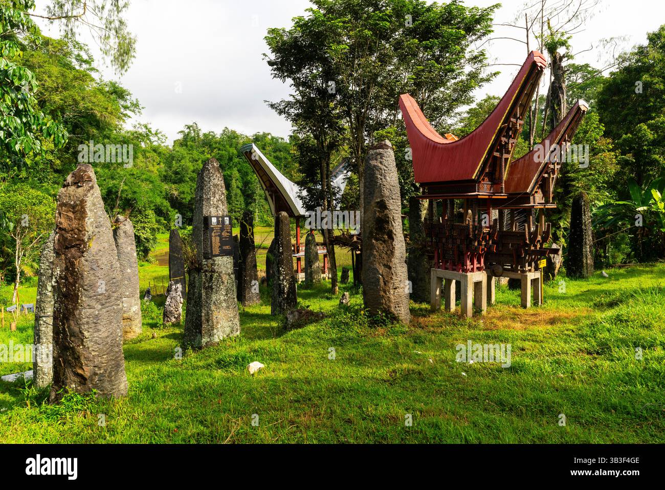 Megalith Memorial Stones, Lembang Parinding, Toraja, Sulawesi (Celebes ...