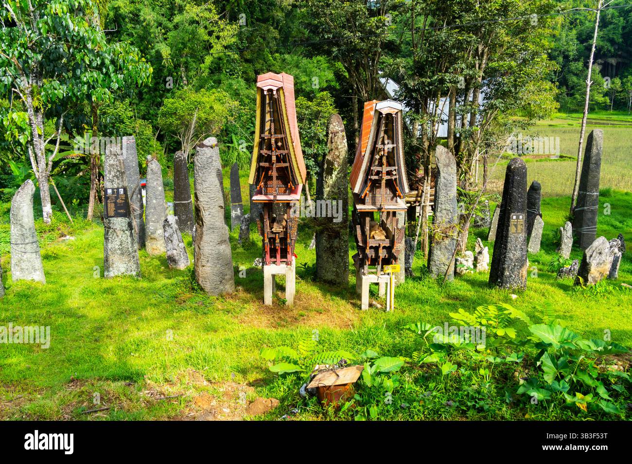 Megalith Memorial Stones, Lembang Parinding, Toraja, Sulawesi (Celebes ...