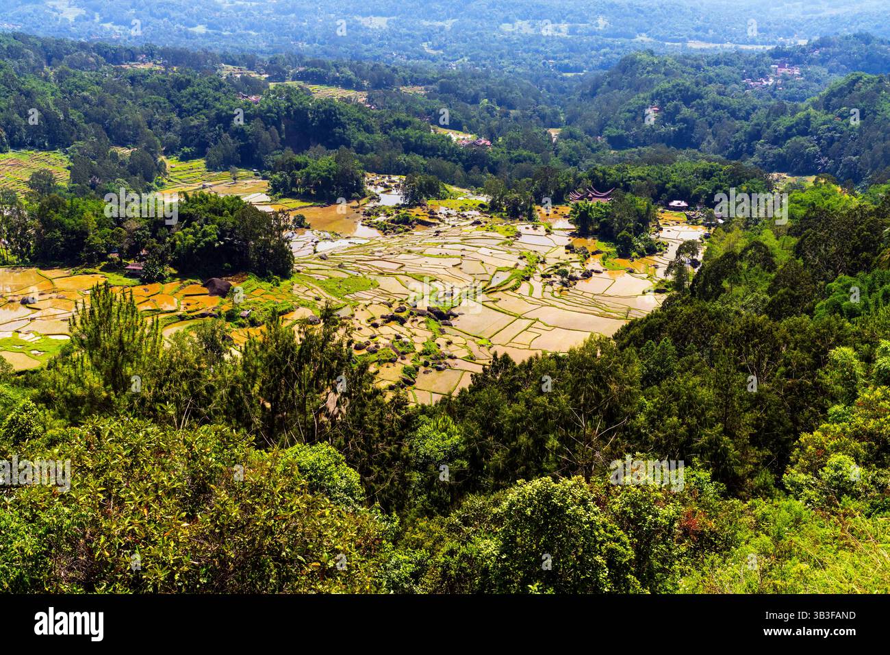 Elevated view of terrace paddy rice fields and villages in Sesean ...
