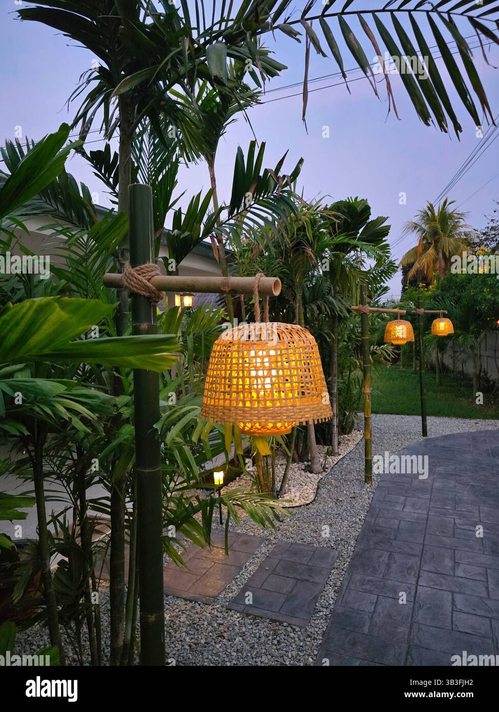 Beautiful garden palm trees lighting hi-res stock photography and ...