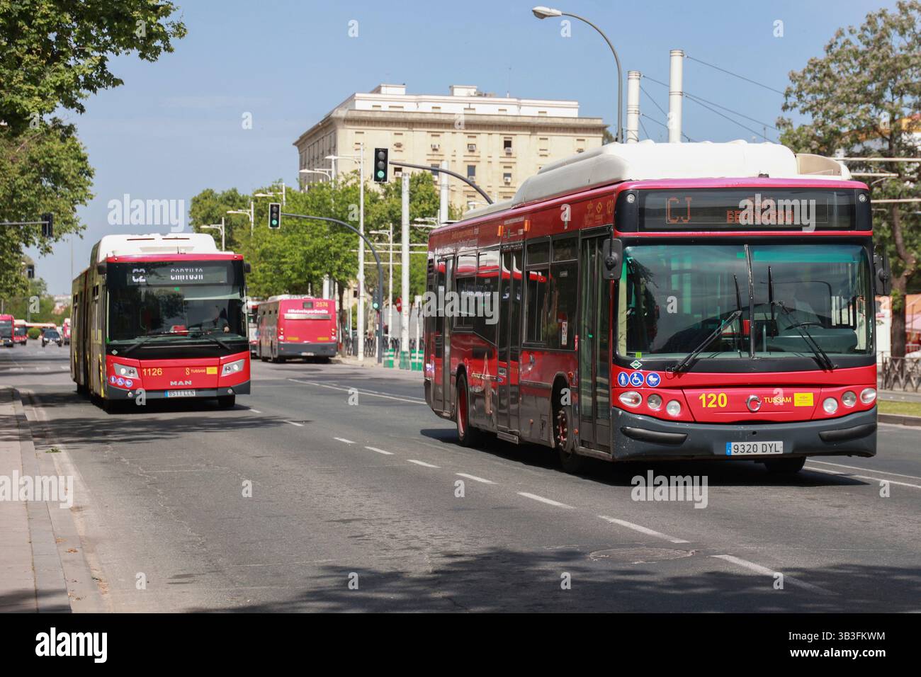 Tussam buses run smoothly on an avenue in Seville. April 29, 2025 in ...