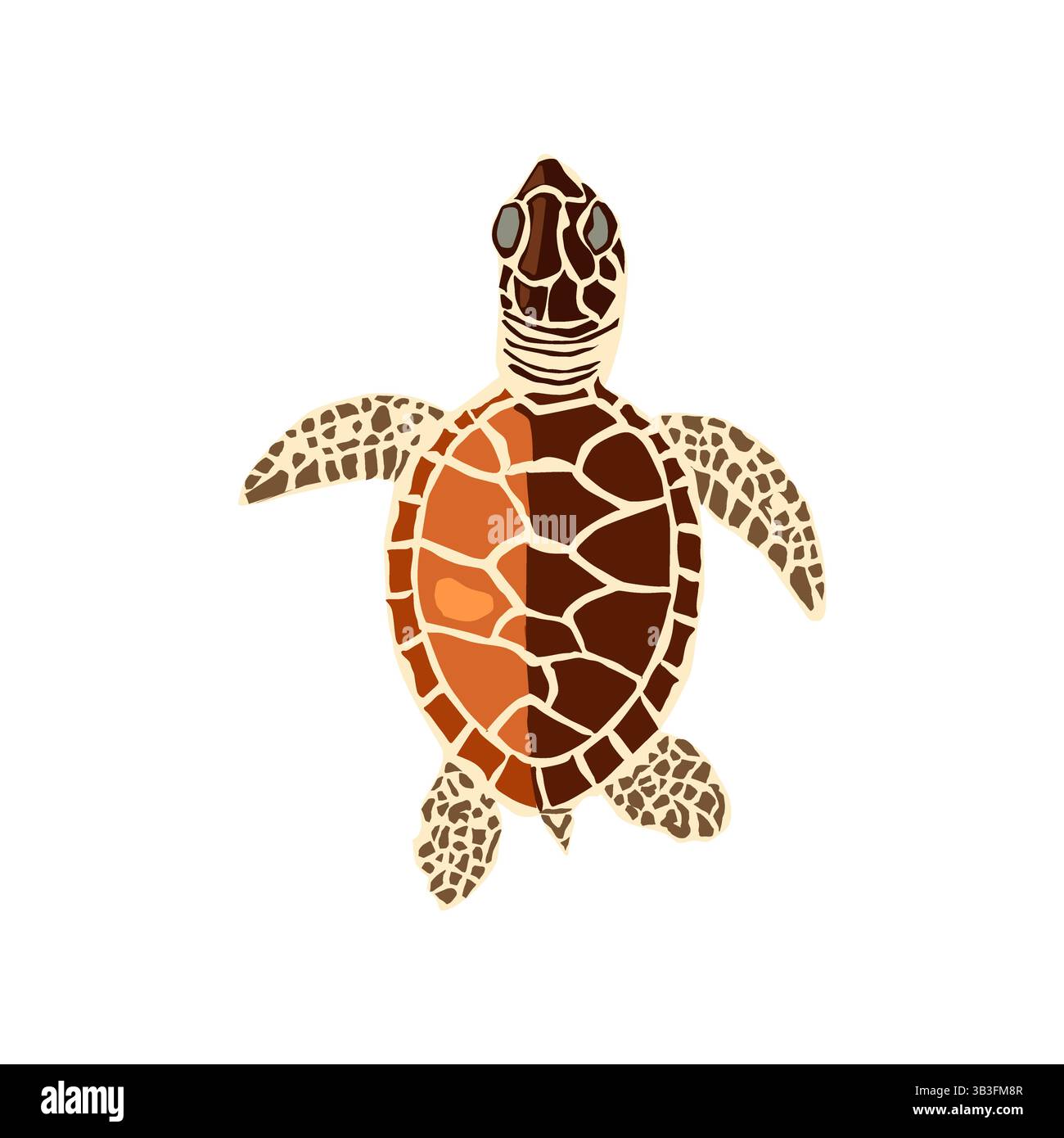 Coastal marine animals Stock Vector Images - Alamy