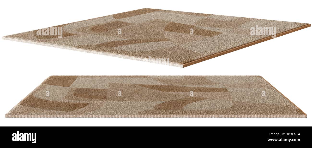 Modern 3D carpet features a unique design with soft textures ideal for ...