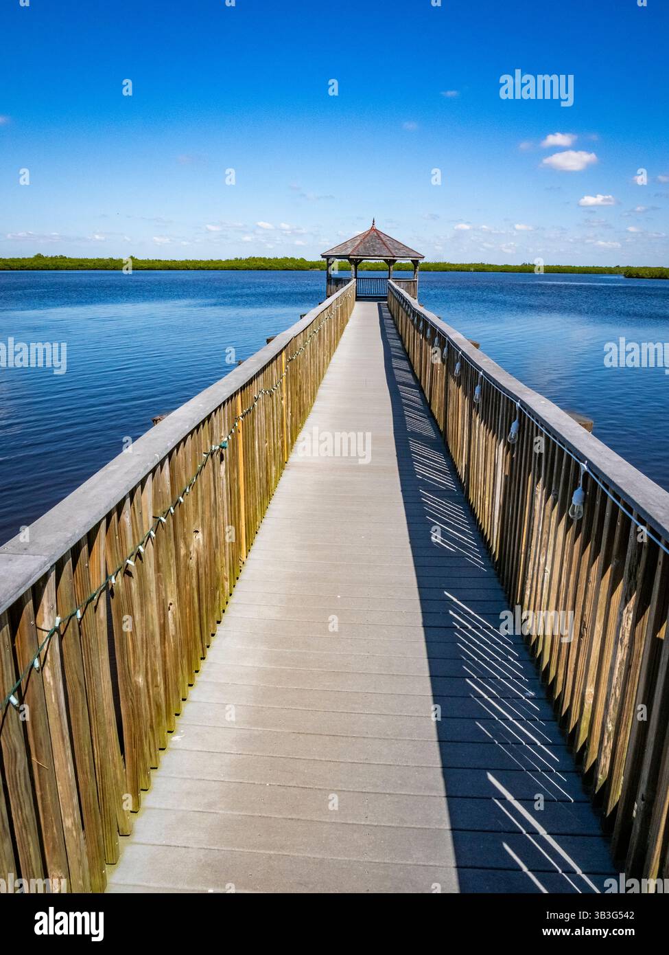 Pier in Peace River at the Peace River Botanical & Sculpture Gardens in ...