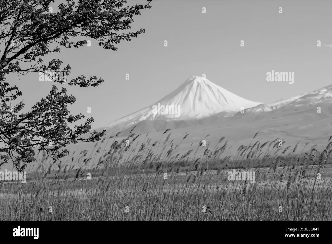 Beautiful natural landscape with mountains and river. Trees on the ...