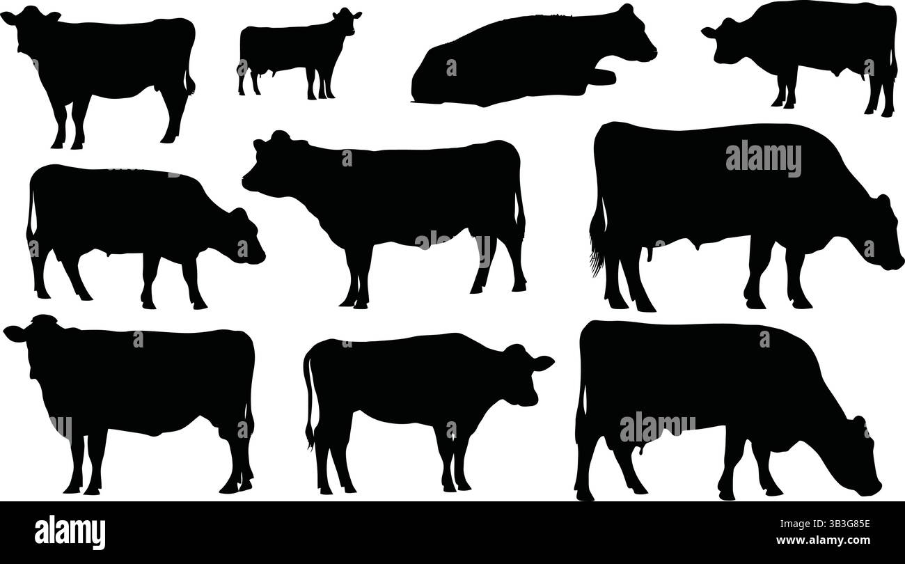 Figure shadow standing in Stock Vector Images - Alamy