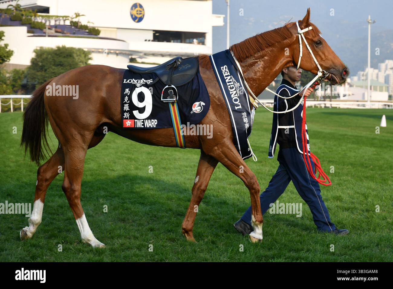 Sha tin racecourse g1 hi-res stock photography and images - Alamy