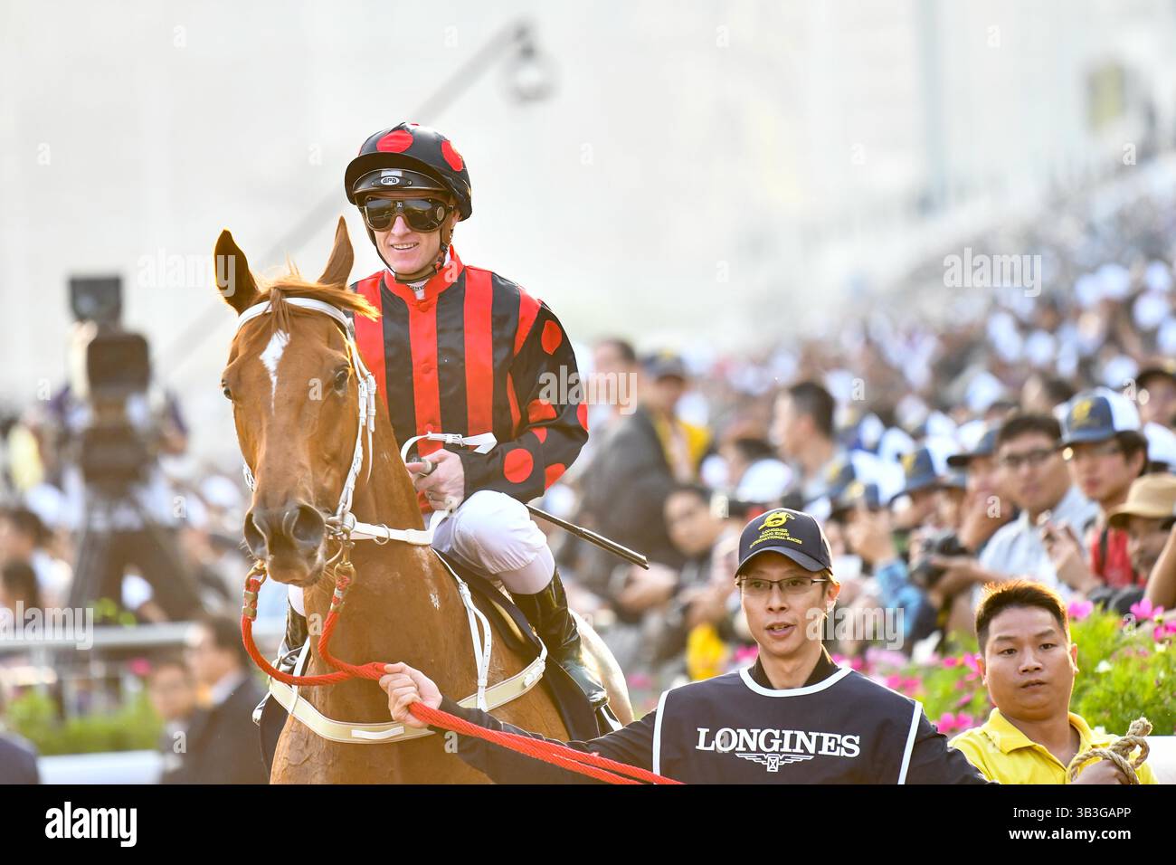 Sha tin racecourse g1 hi-res stock photography and images - Alamy
