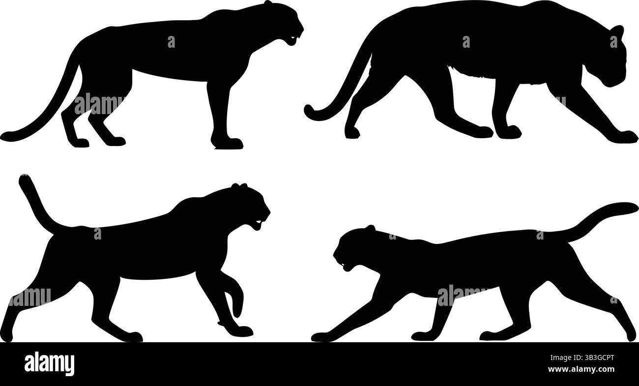 Sleek Collection of Prowling Panther and Big Cat Silhouettes Depicting ...