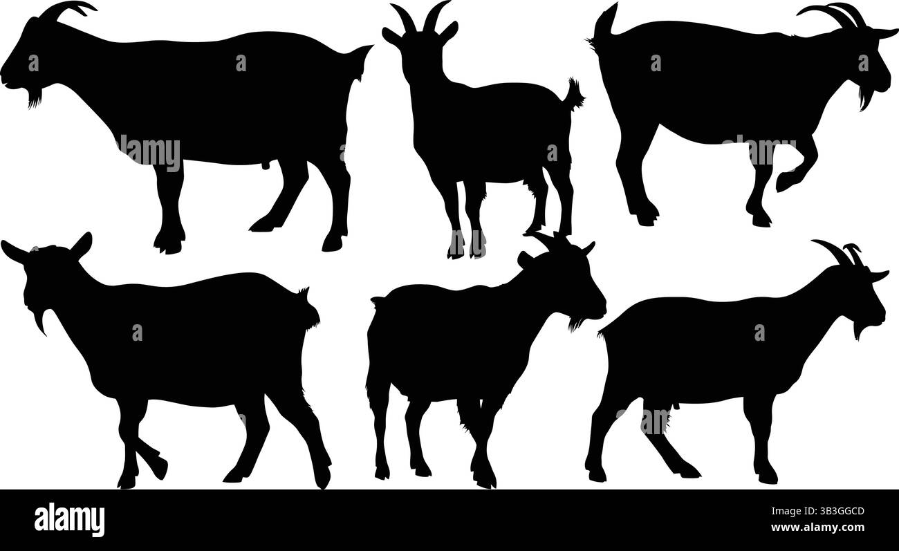 Dynamic Set of Detailed Goat Silhouettes Showcasing Farm Animal Life ...