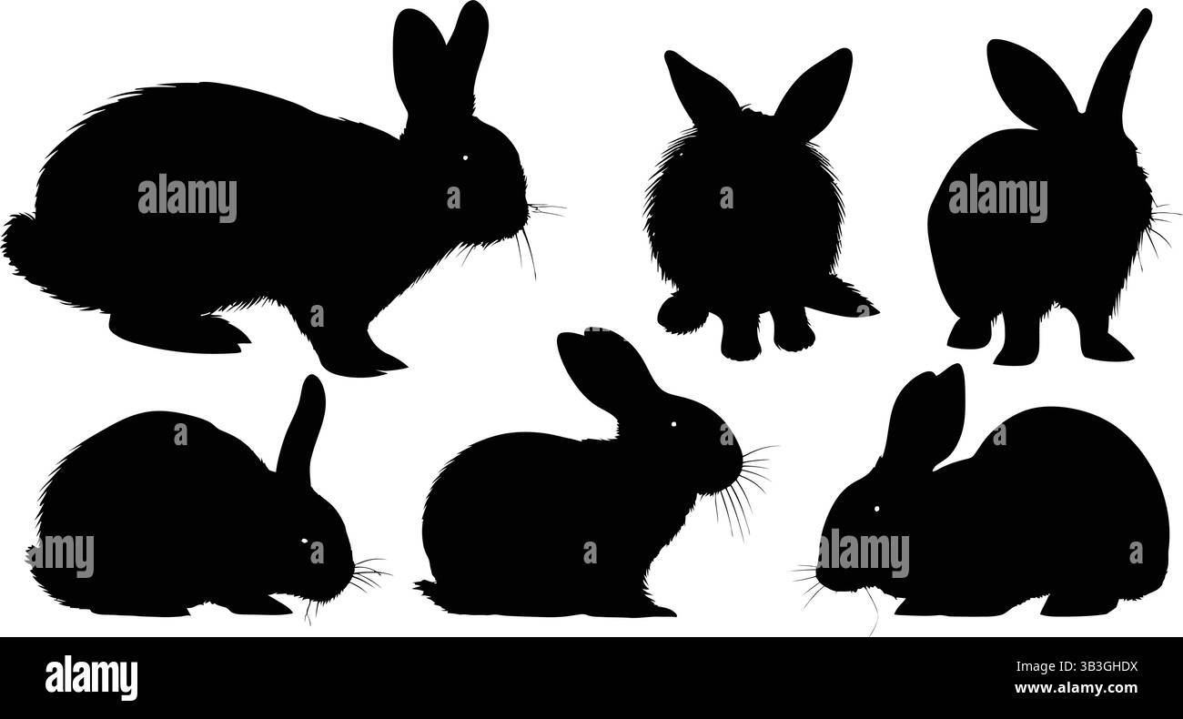 Silhouettes of rabbits in various poses on white Stock Vector Image ...