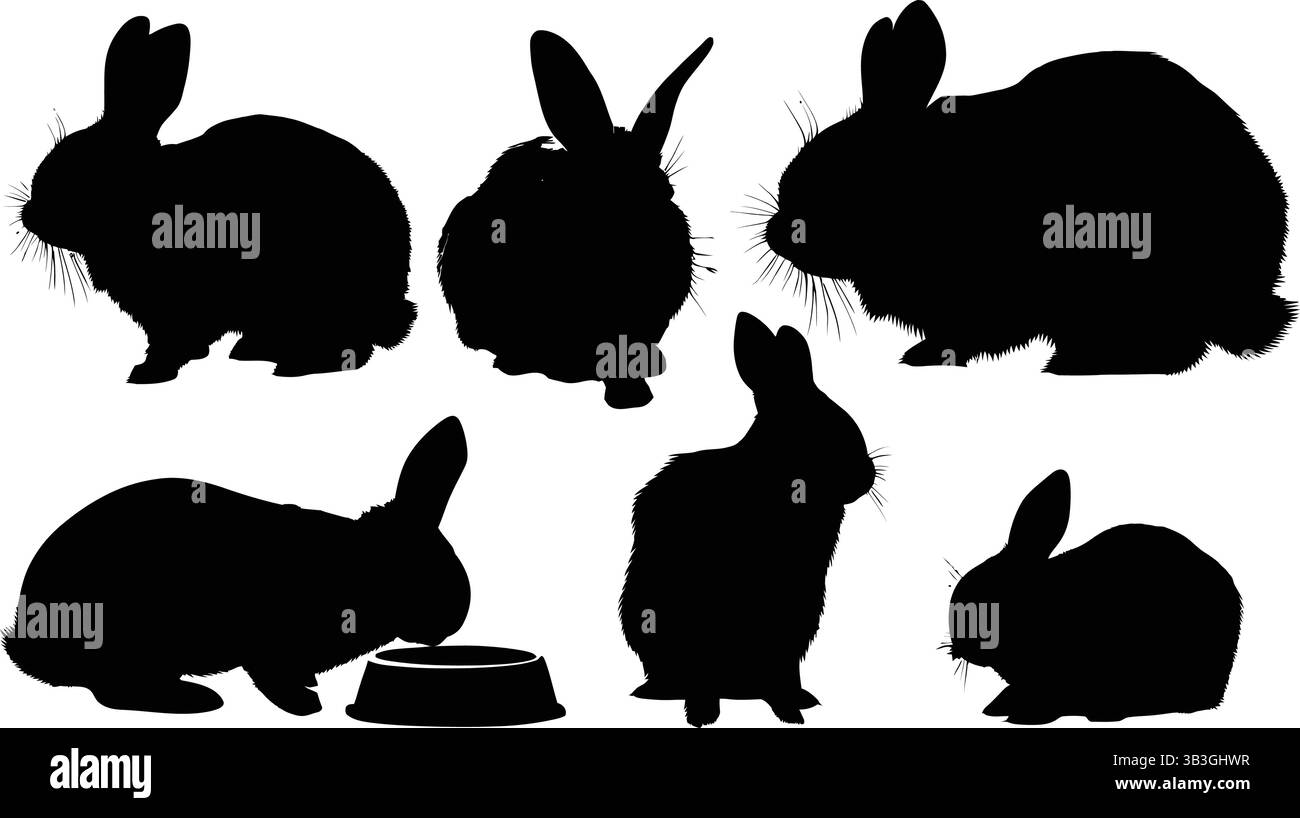 Collection of rabbit silhouettes in various poses Stock Vector Image ...