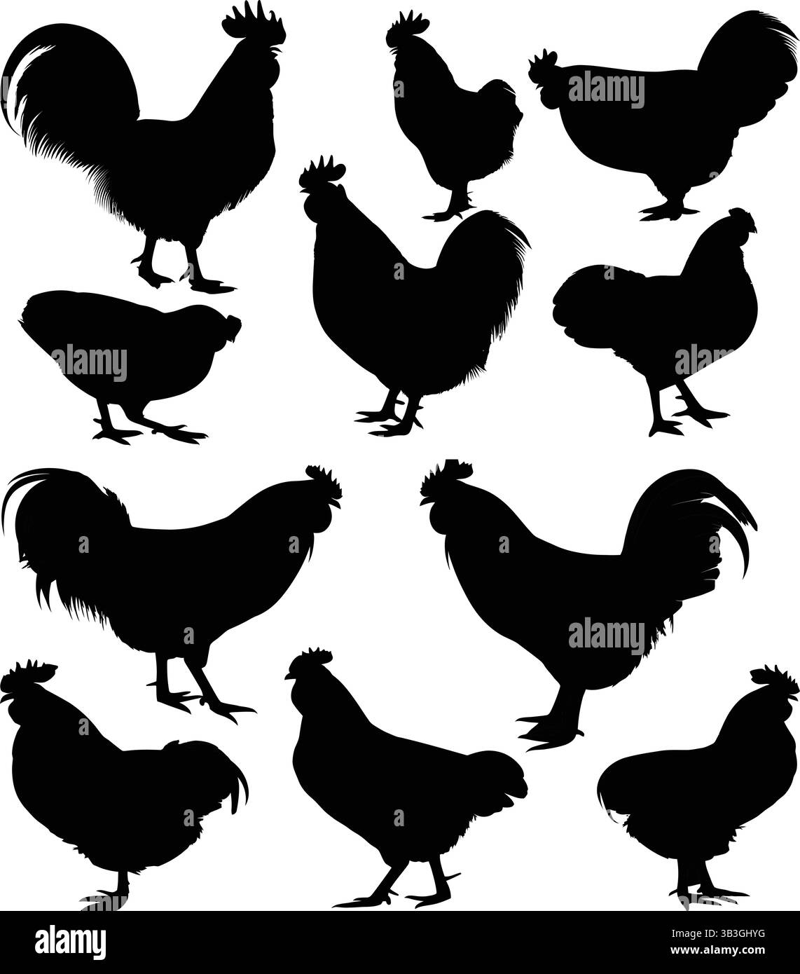 Set rooster silhouette hi-res stock photography and images - Alamy