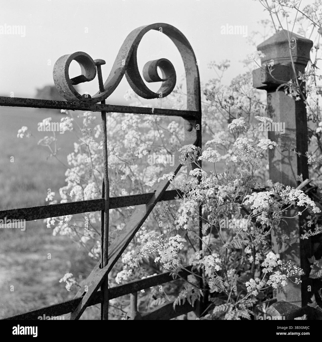 East sussex county Black and White Stock Photos & Images - Alamy