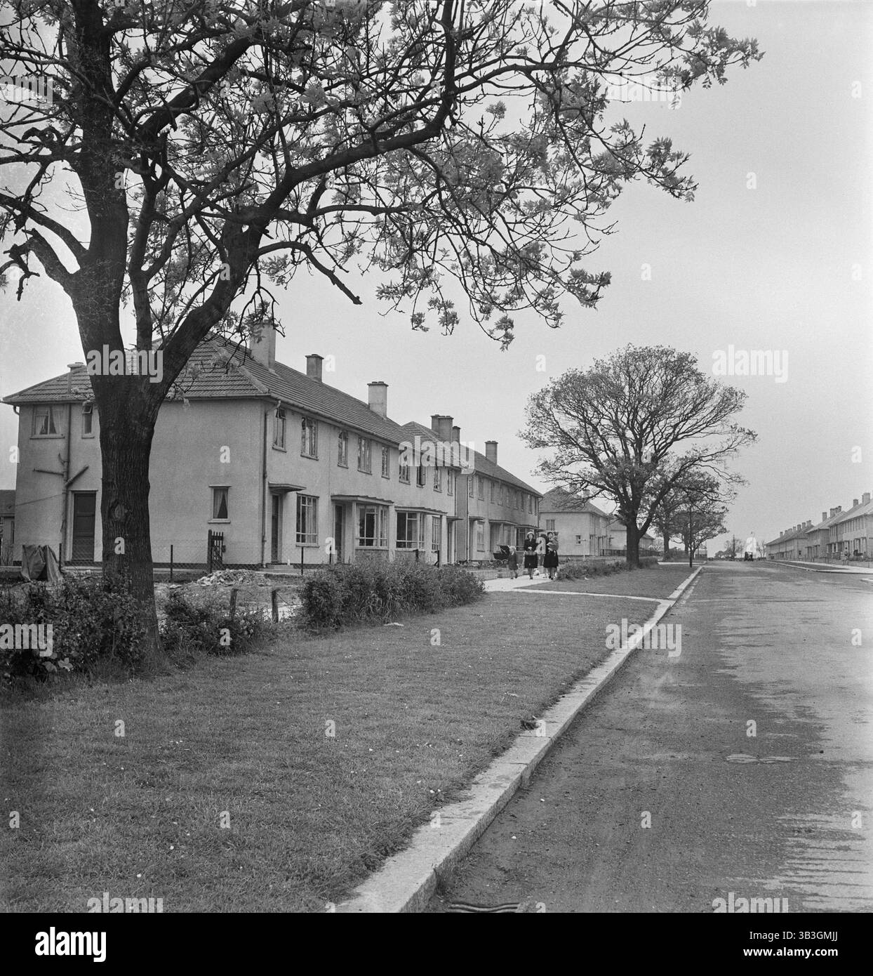 A view looking down a street of Easiform housing in Grimsby ...