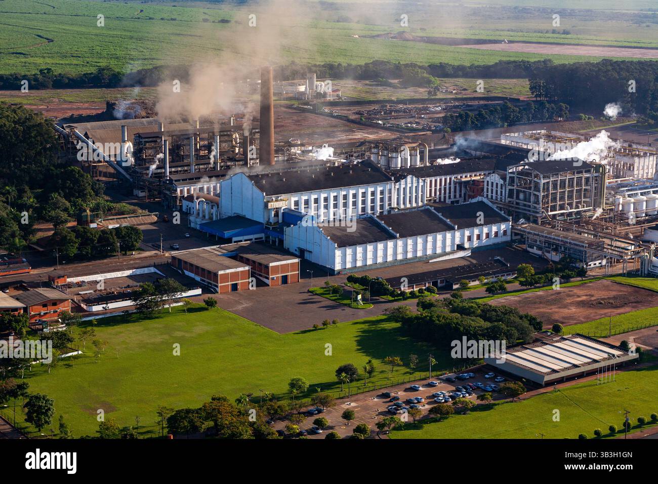 Sugarcane supply chain hi-res stock photography and images - Alamy