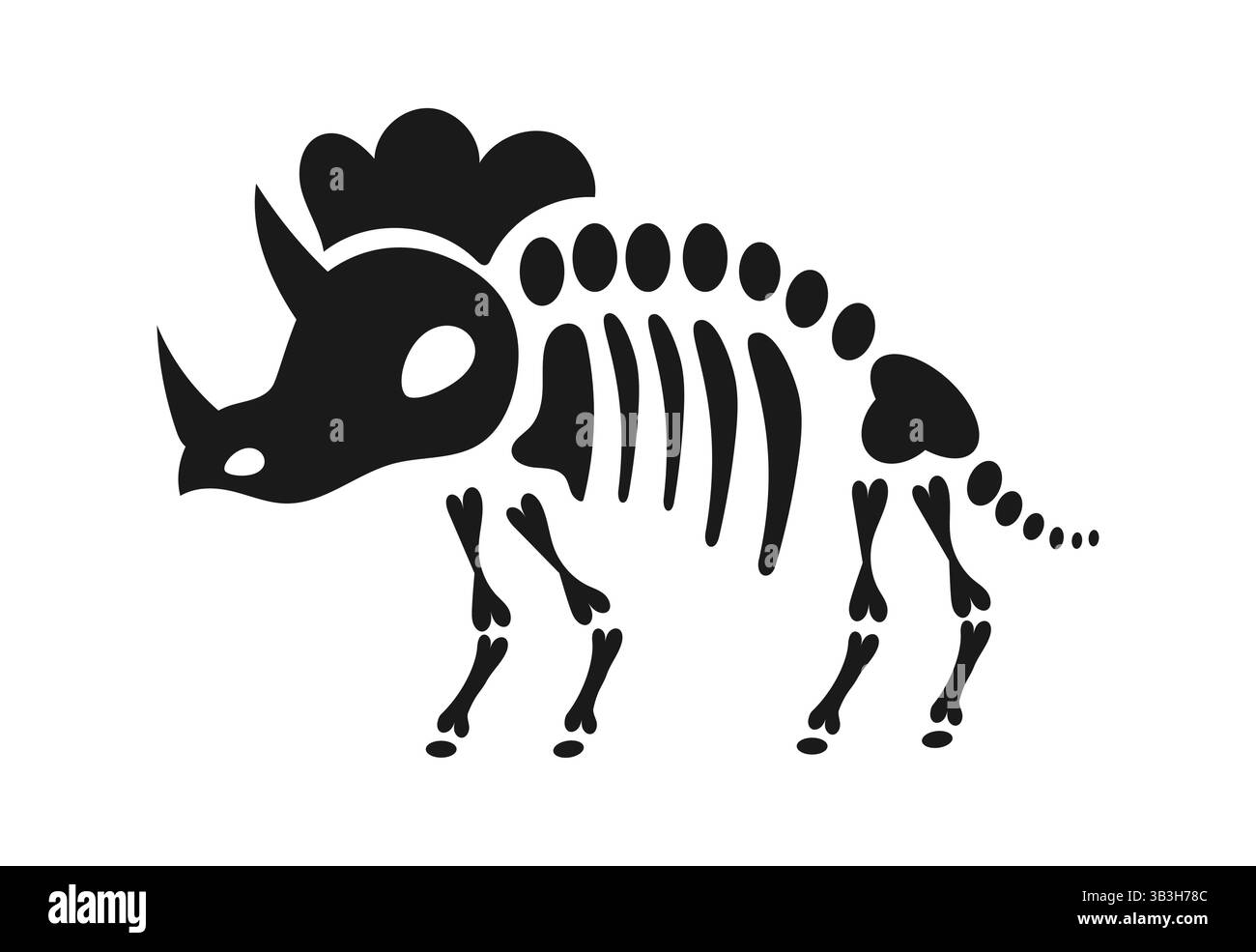 Triceratops dinosaur skeleton standing prehistoric animal paleontology ...