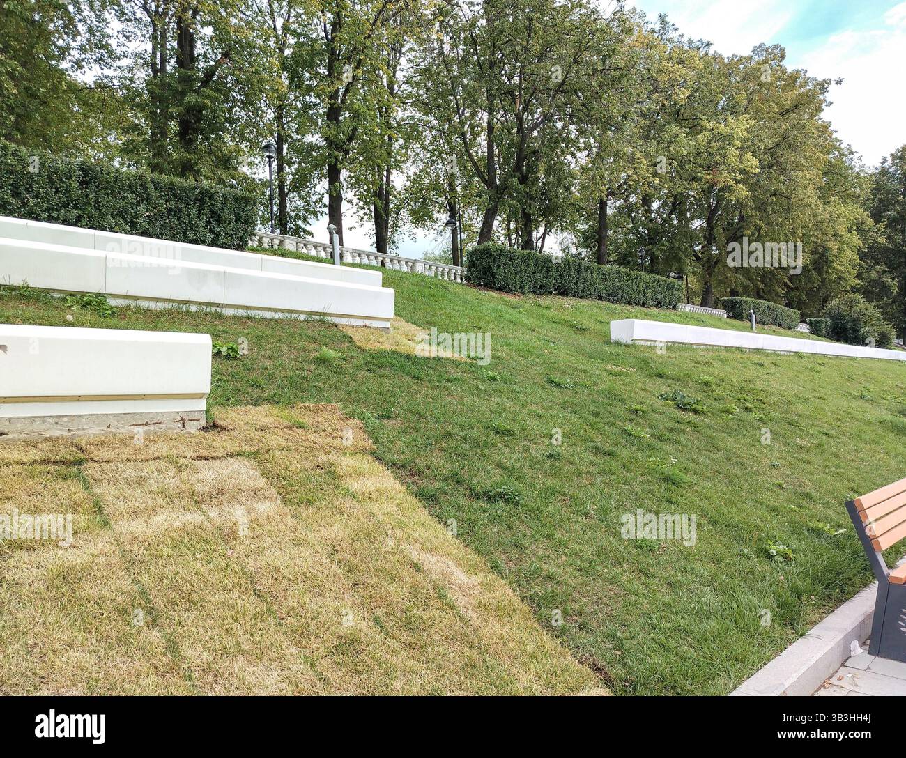 Different types of artificial turf - withered and fresh grass on a ...