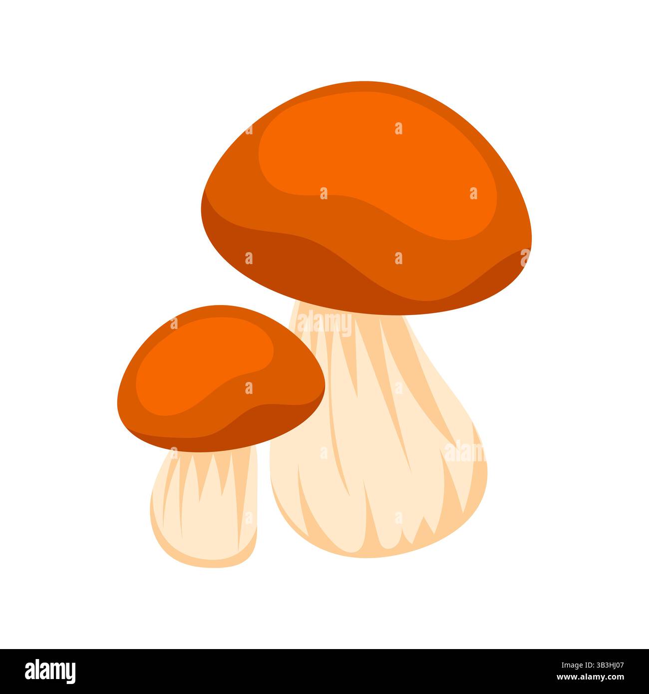 Orange cap boletus mushrooms Stock Vector Images - Alamy