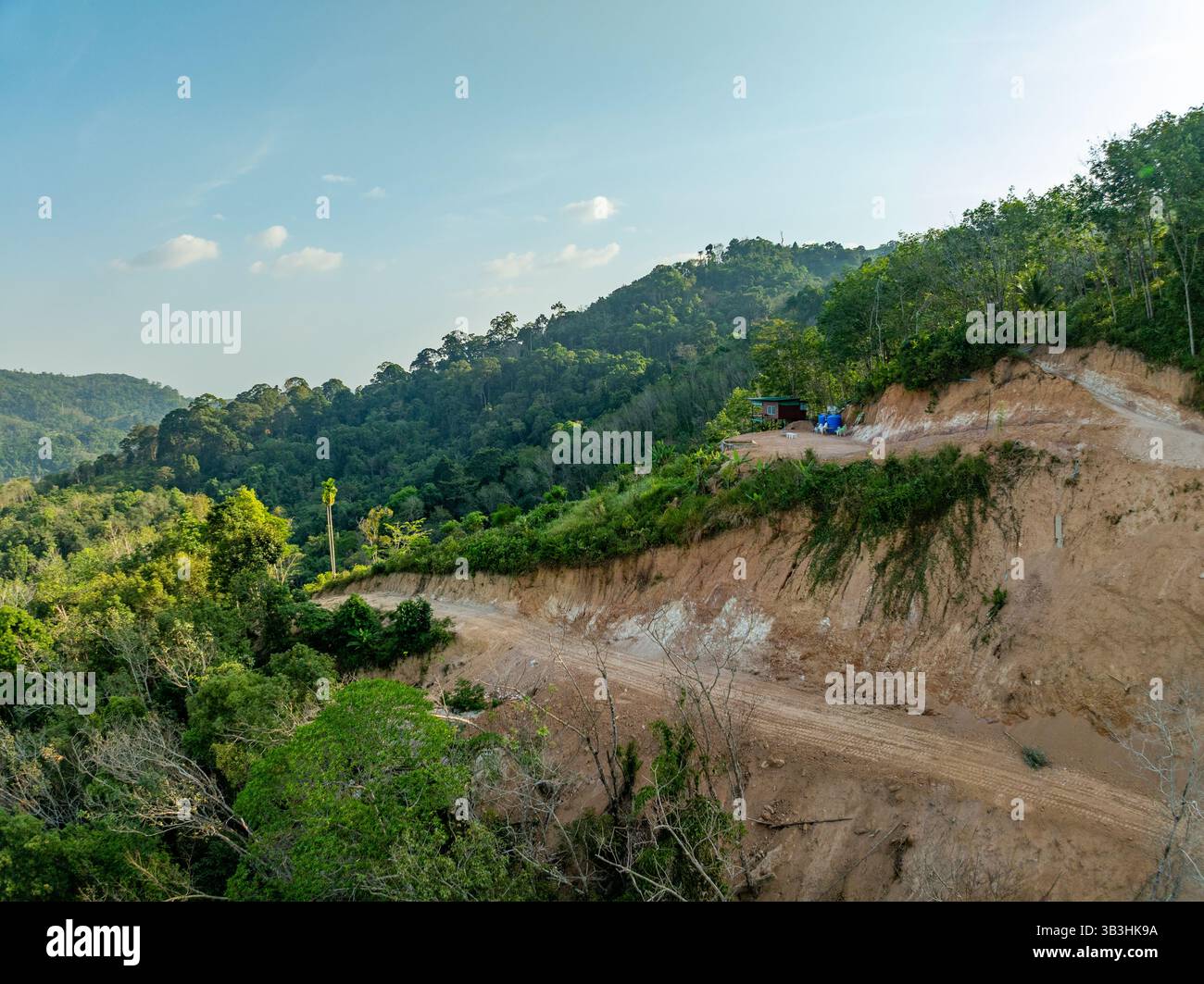Deforestation aerial photo,Forest destroyed environmental damage from ...
