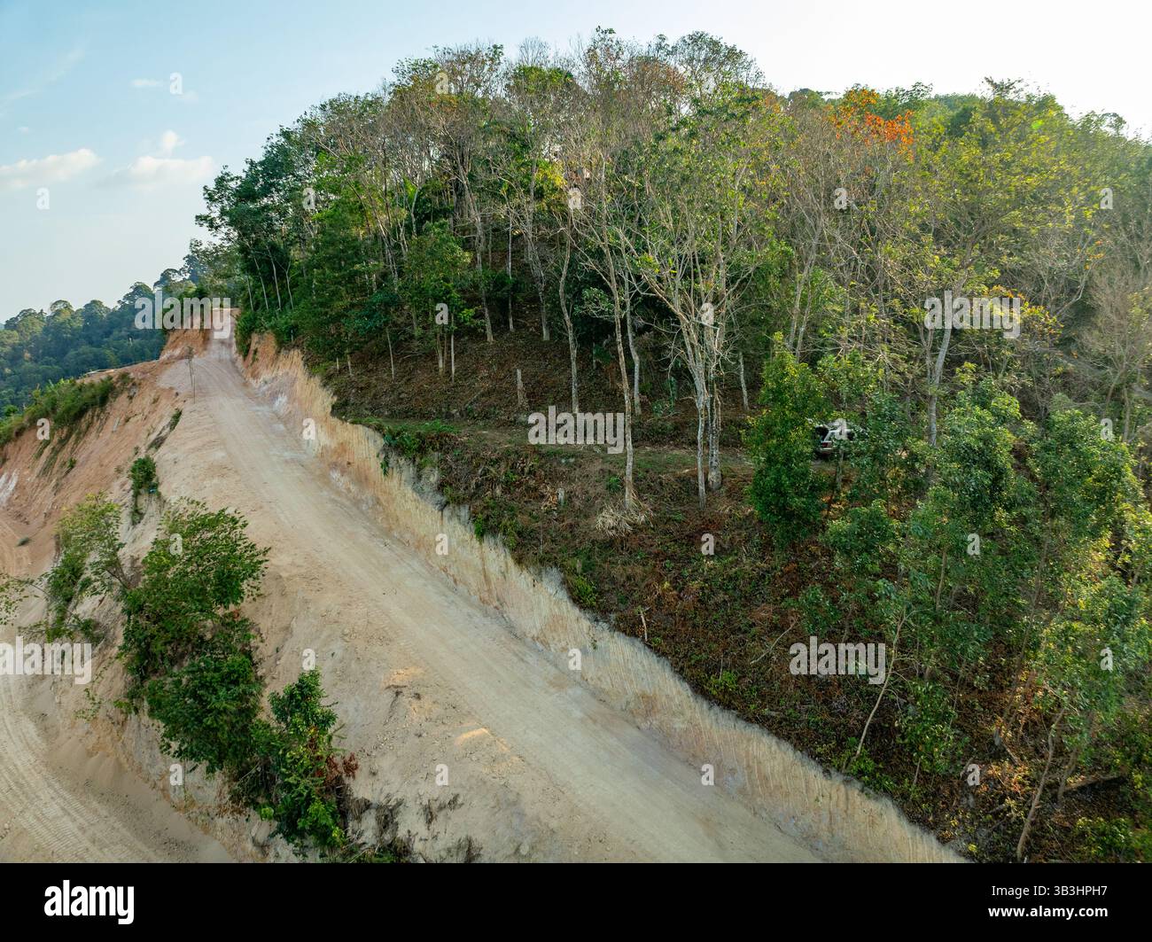 Deforestation aerial photo,Forest destroyed environmental damage from ...