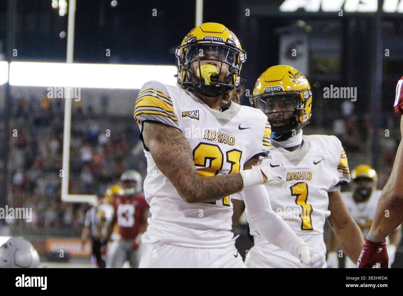 FILE -Idaho wide receiver Jordan Dwyer (21) celebrates his touchdown ...