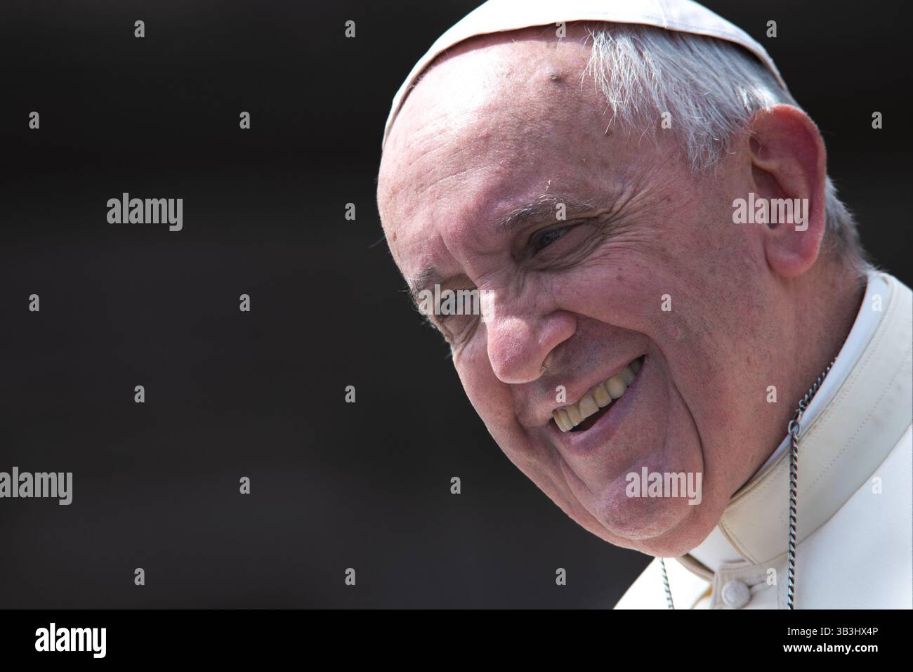 Pope Francis Smile during his weekly general audience in St Peter ...