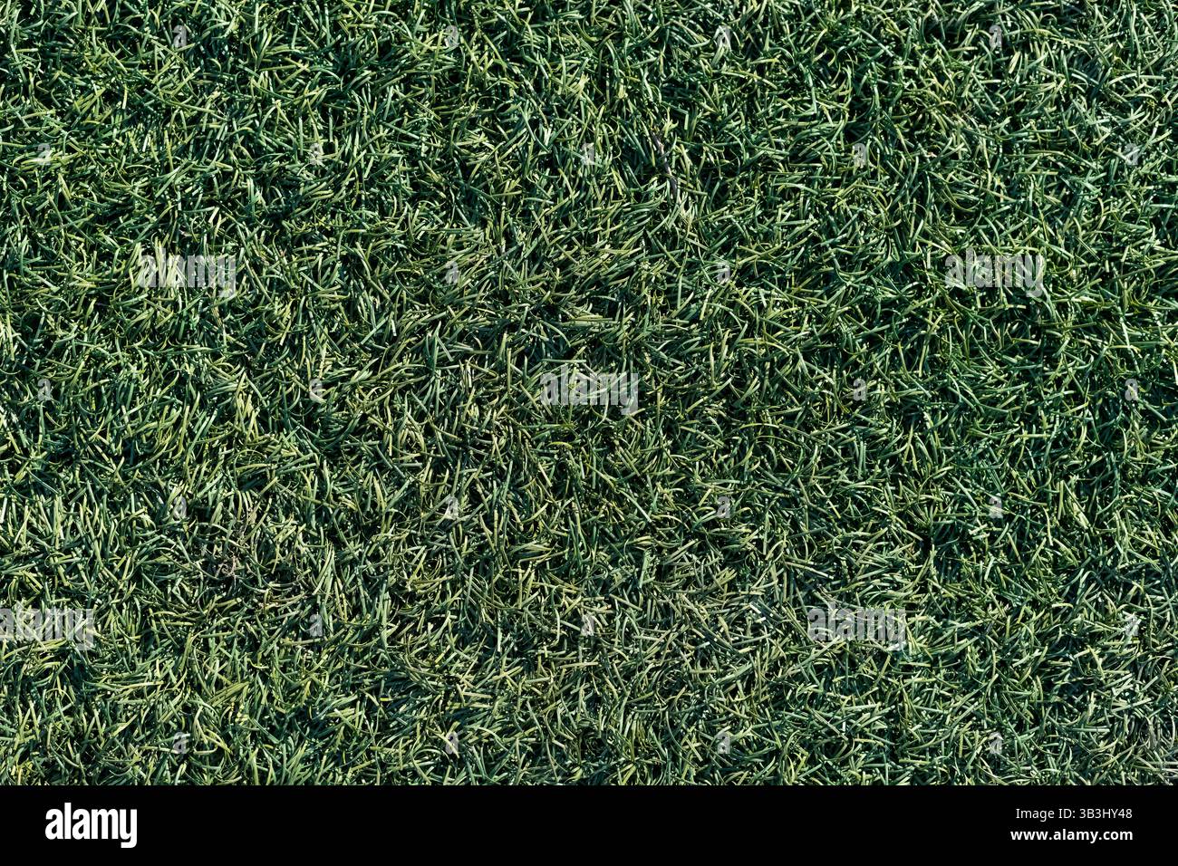 Green artificial grass cover hi-res stock photography and images - Alamy