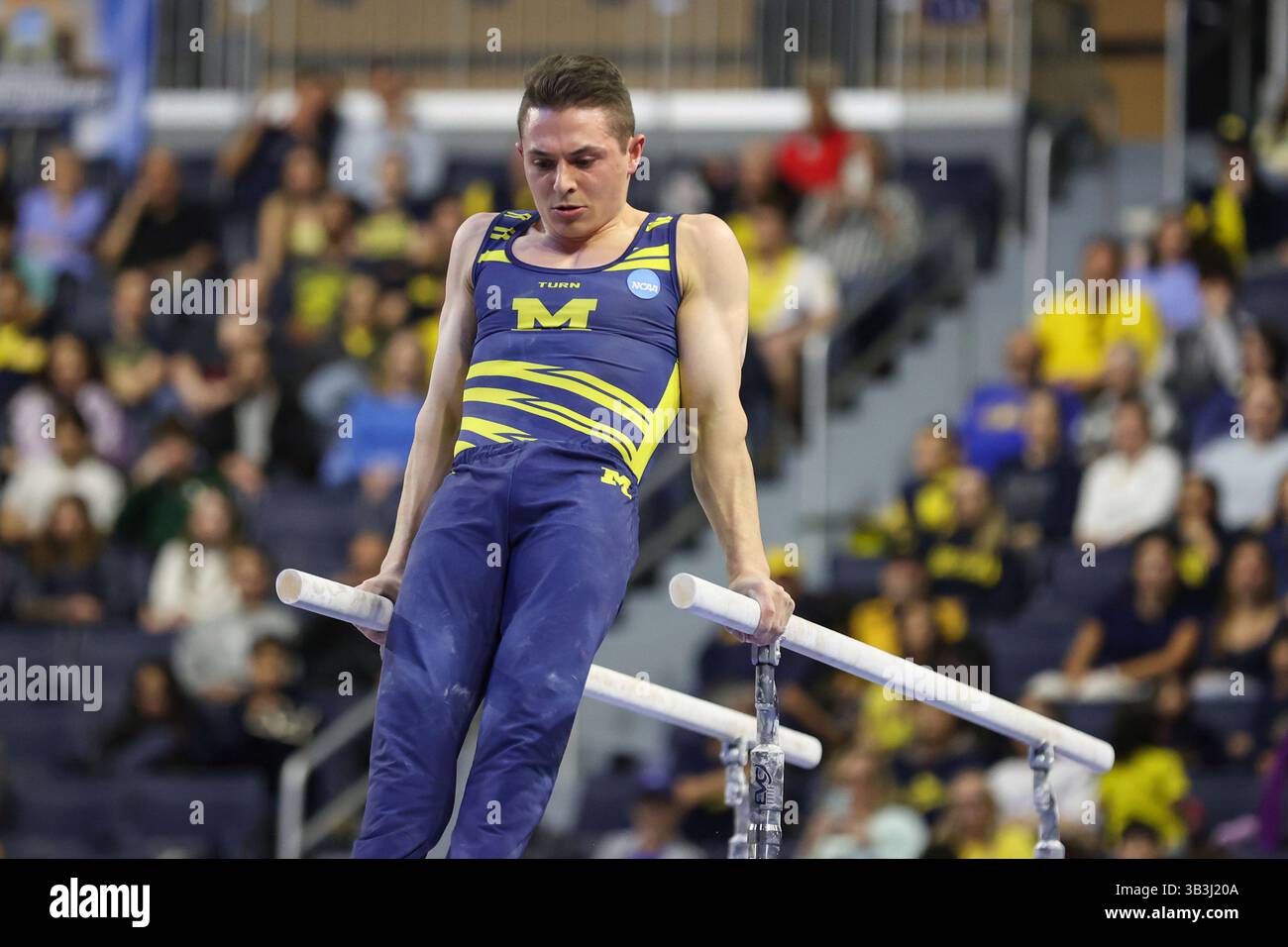 ANN ARBOR, MI - APRIL 19: Michigan gymnast Paul Juda performs on the ...