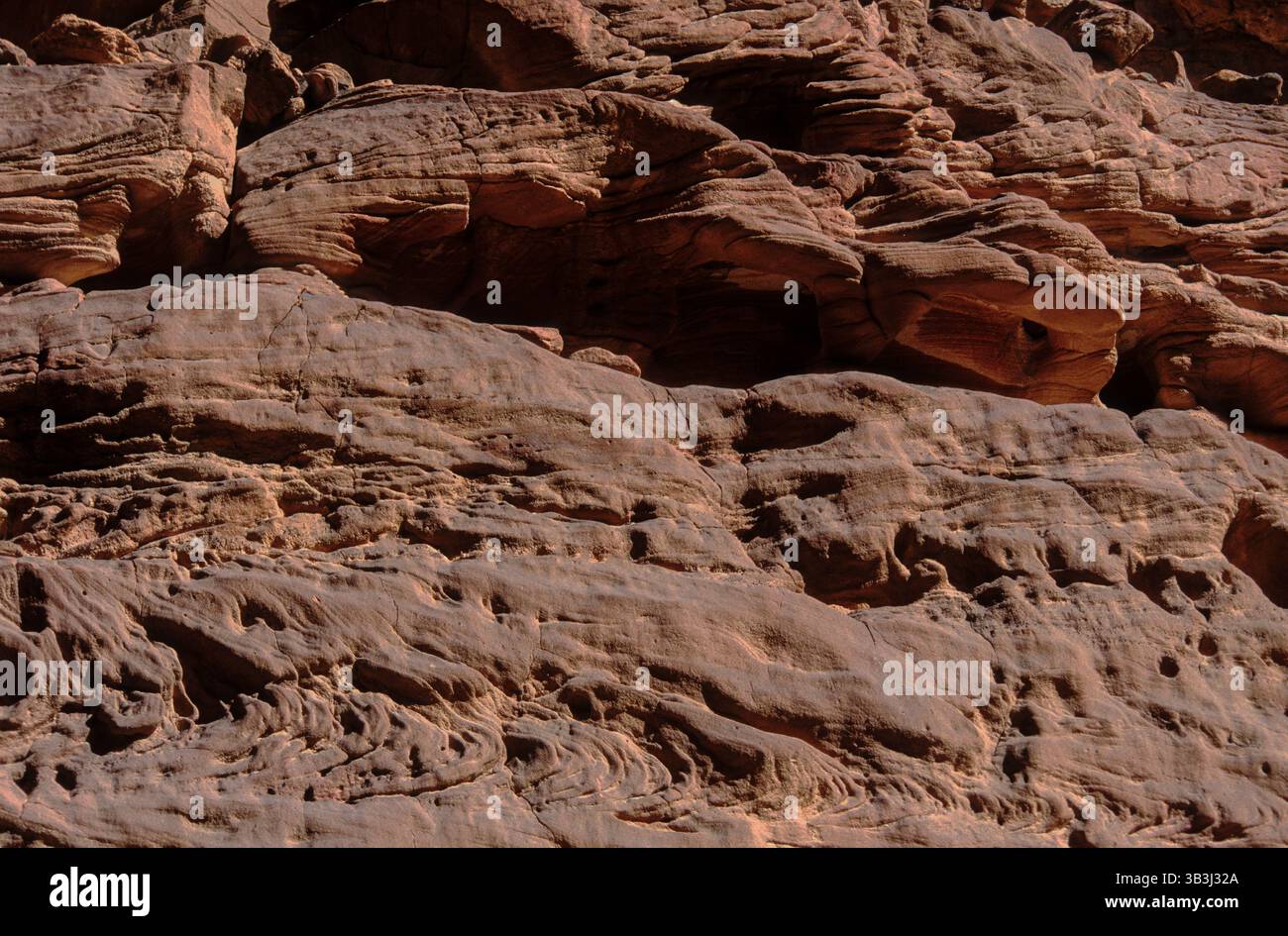 Pink rock face sculpted by seawater and desert winds glows in strong ...