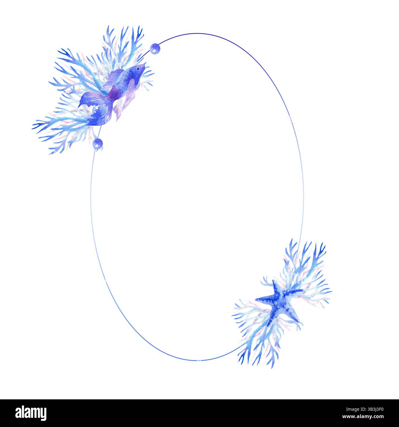 Seaweeds corals sea algae Cut Out Stock Images & Pictures - Alamy