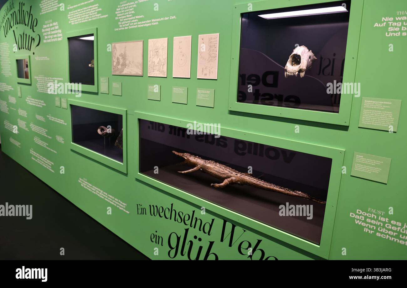 PK Themenjahr Faust - Weimar 29.04.2025, Weimar, Schiller-Museum ...