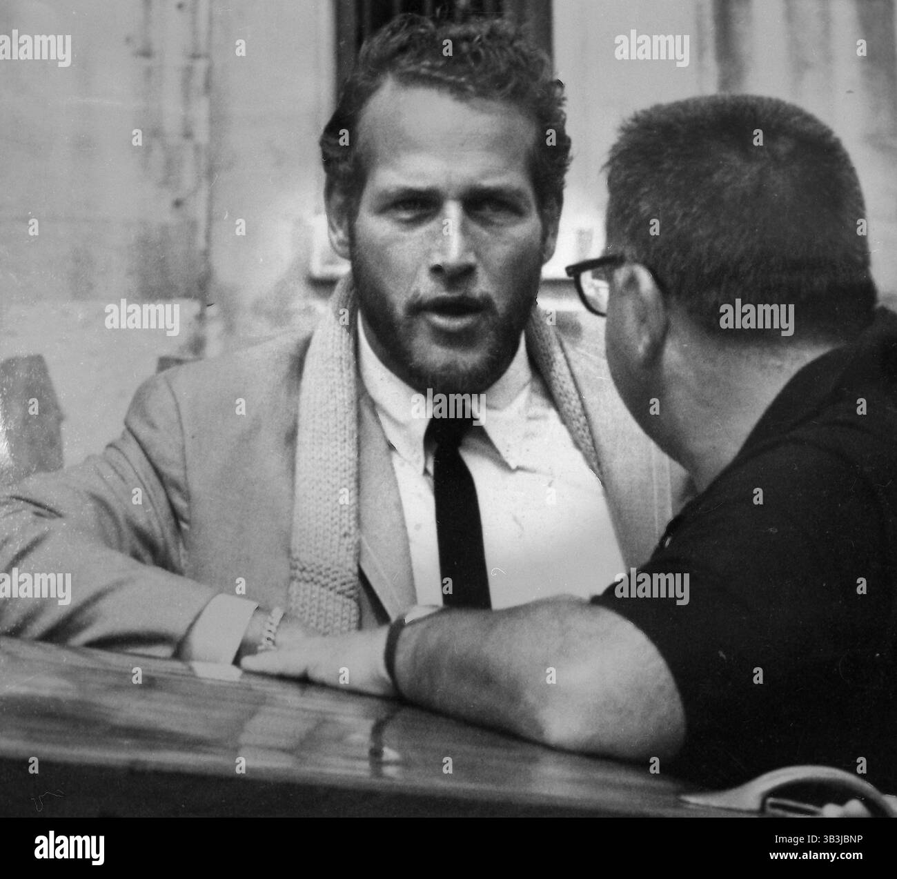 American actor Paul Newman, 1950s Stock Photo - Alamy