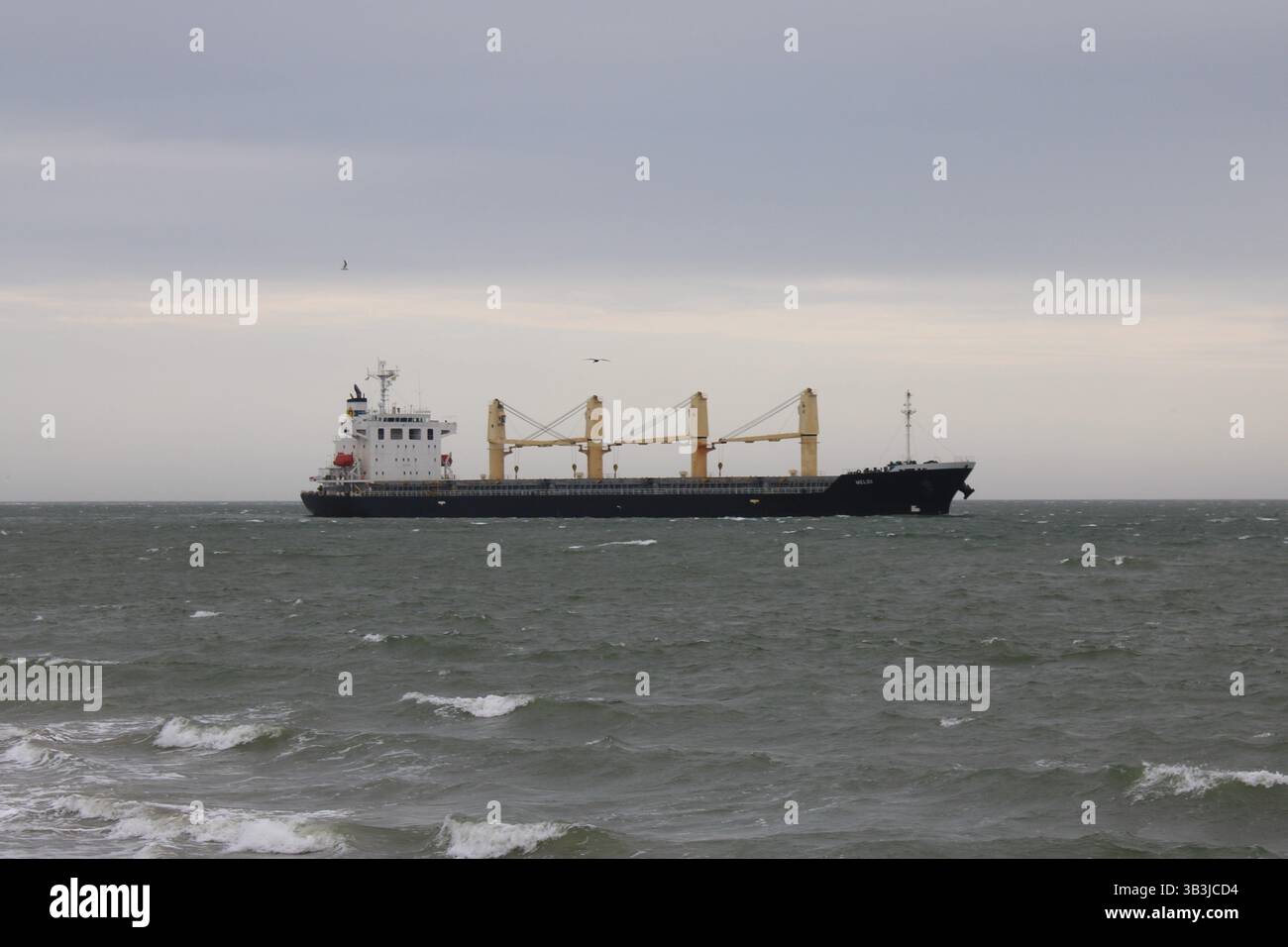 Empty container ship near Charleston Stock Photo - Alamy