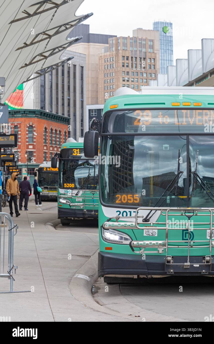 Detroit, Michigan - Detroit City Buses are parked at the Rosa Parks ...