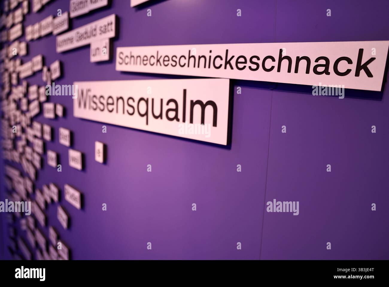 PK Themenjahr Faust - Weimar 29.04.2025, Weimar, Schiller-Museum ...