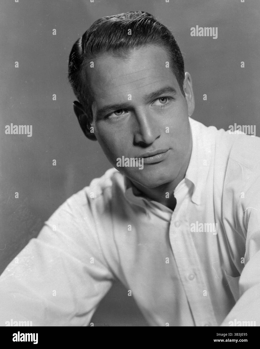 American actor Paul Newman, 1950s Stock Photo - Alamy